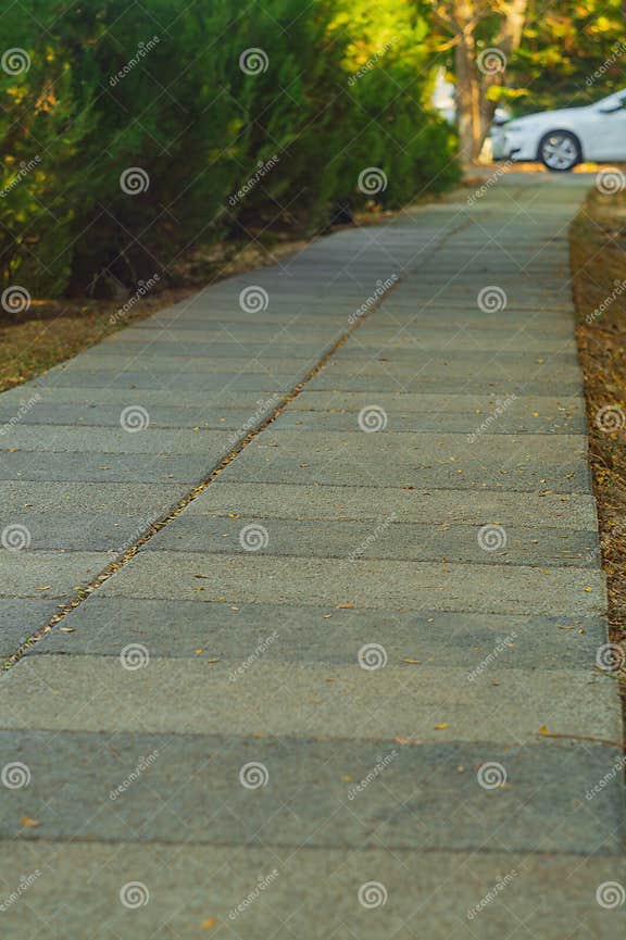 Surface of Pedestrian Walking Path from Low Angle with Perspective ...