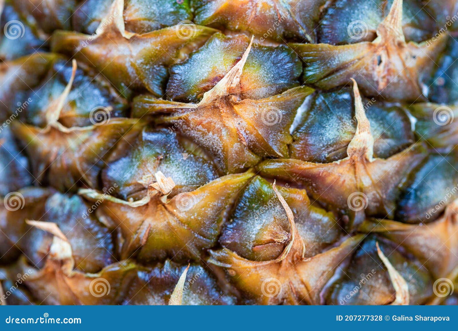 Surface of Pineapple Skin Close Up Texture Stock Photo - Image of ...
