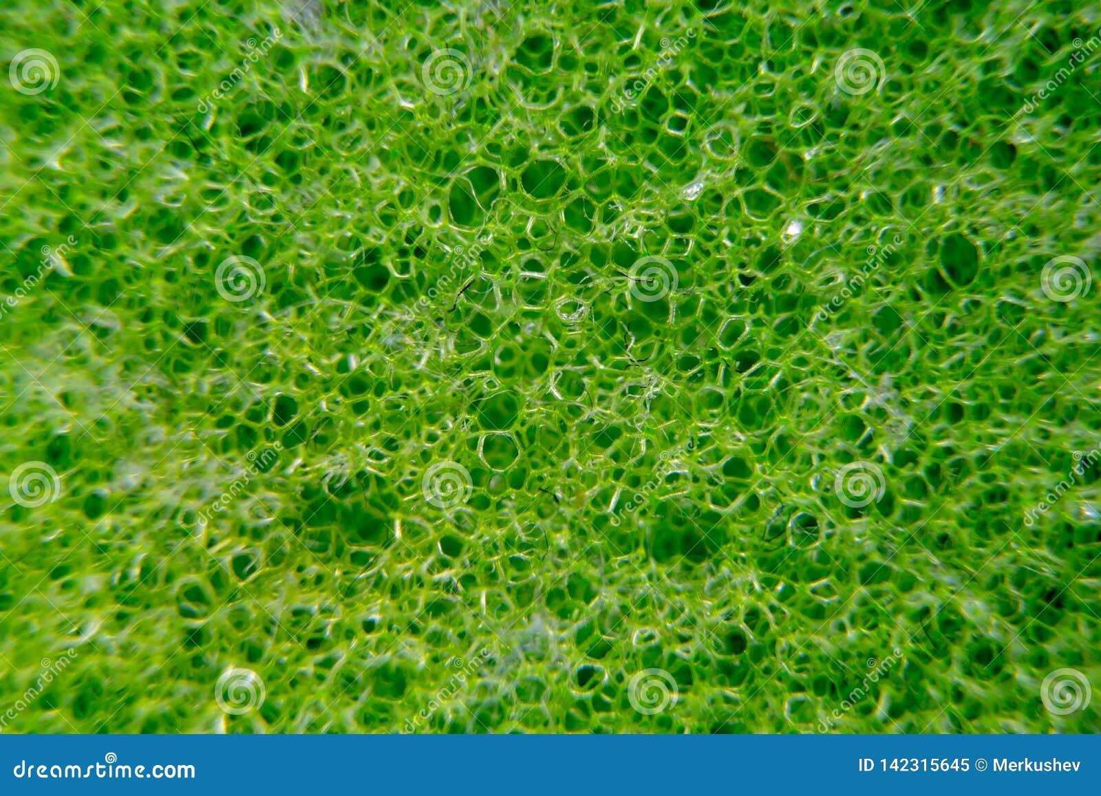 Surface of Plastic Green Sponge. Close-up Texture. Macro Picture of a ...