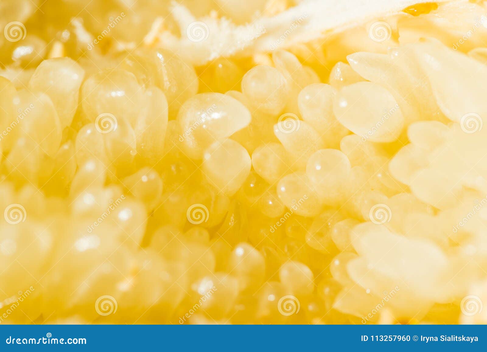 Surface of Pomelo Texture Pamela Cells Closeup, Fresh Citrus Background ...
