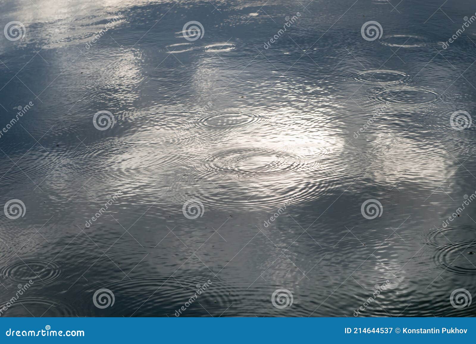 The surface of the pond stock image. Image of rippled - 214644537