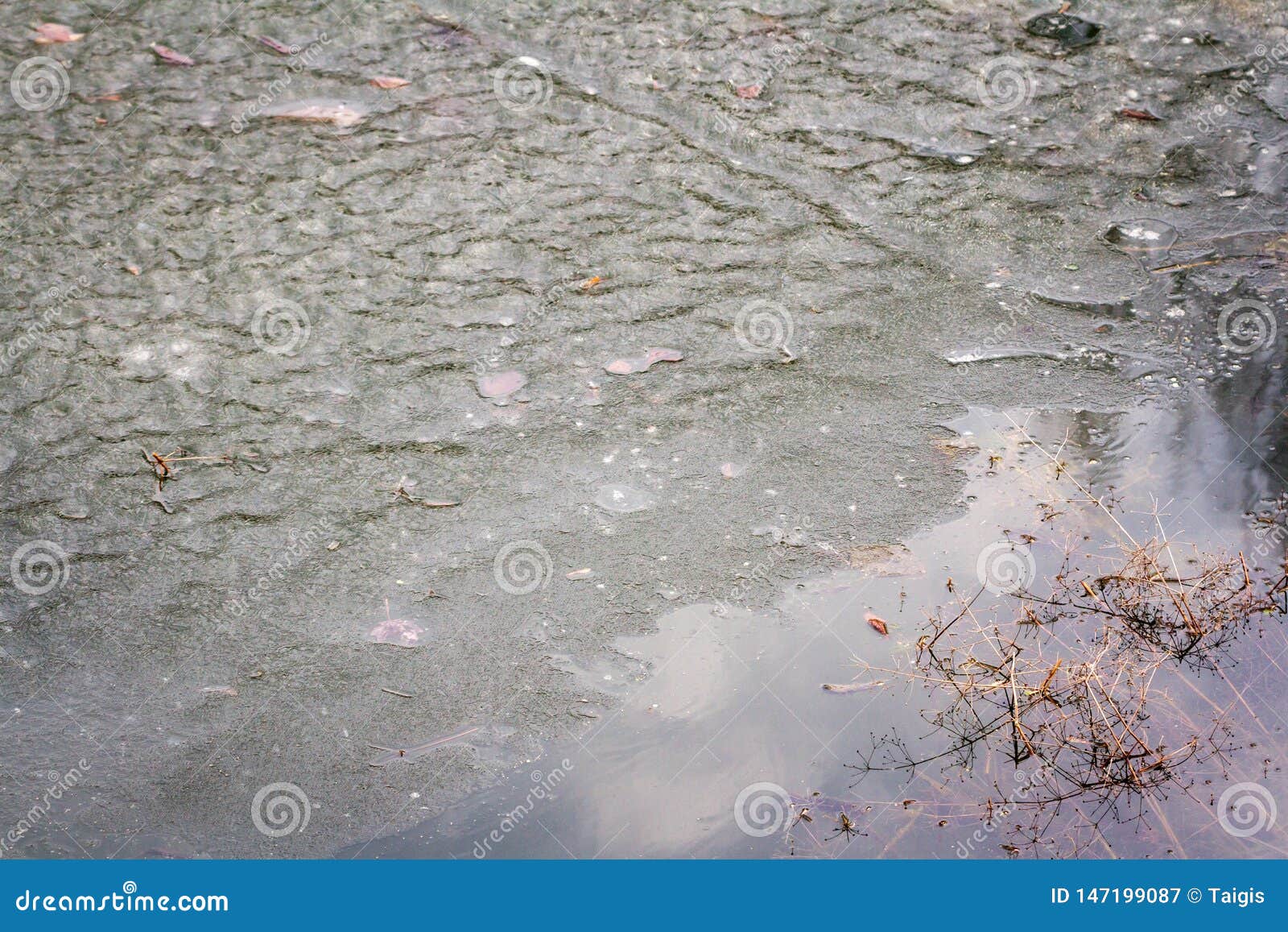 Surface of Pond Covered with Melting Ice Stock Image - Image of deep ...