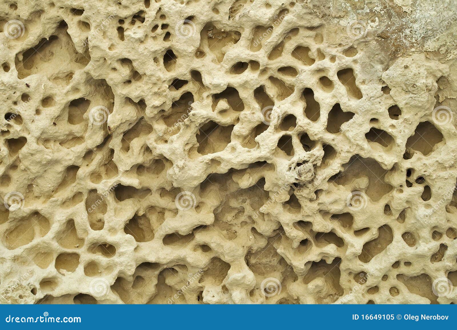 Surface Poreuse De La Roche Image stock - Image du bloc, craie: 16649105