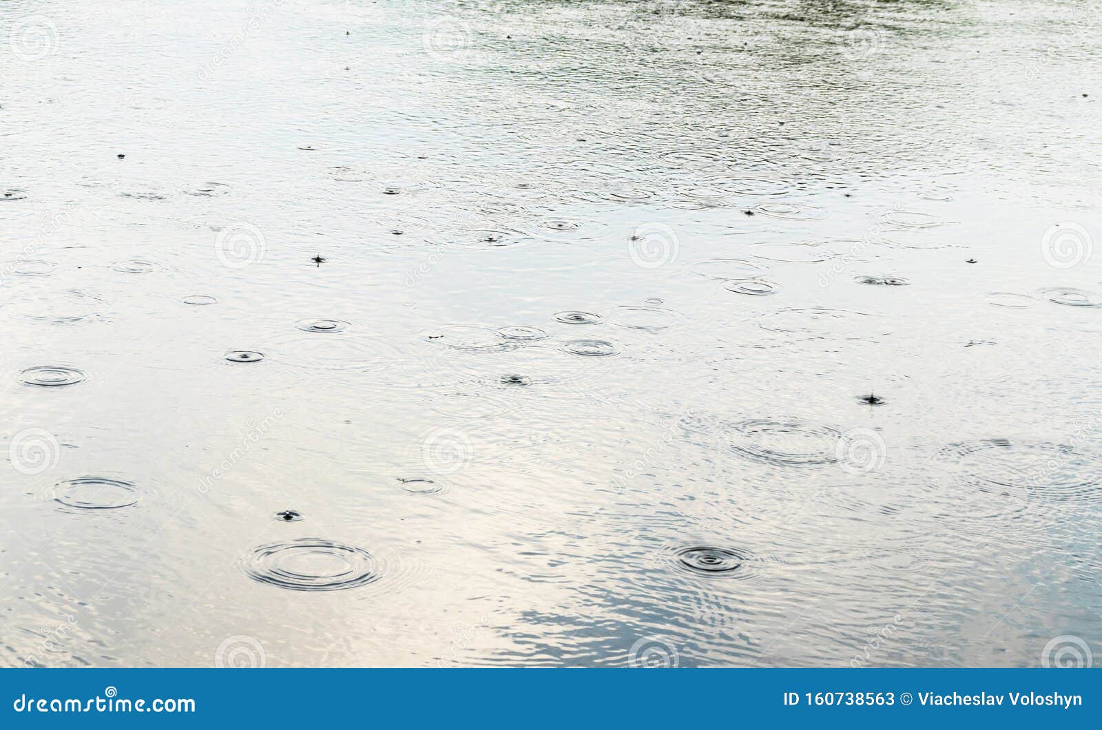 Surface of Puddles during Rain. Rain Drops in the Water Stock Image ...