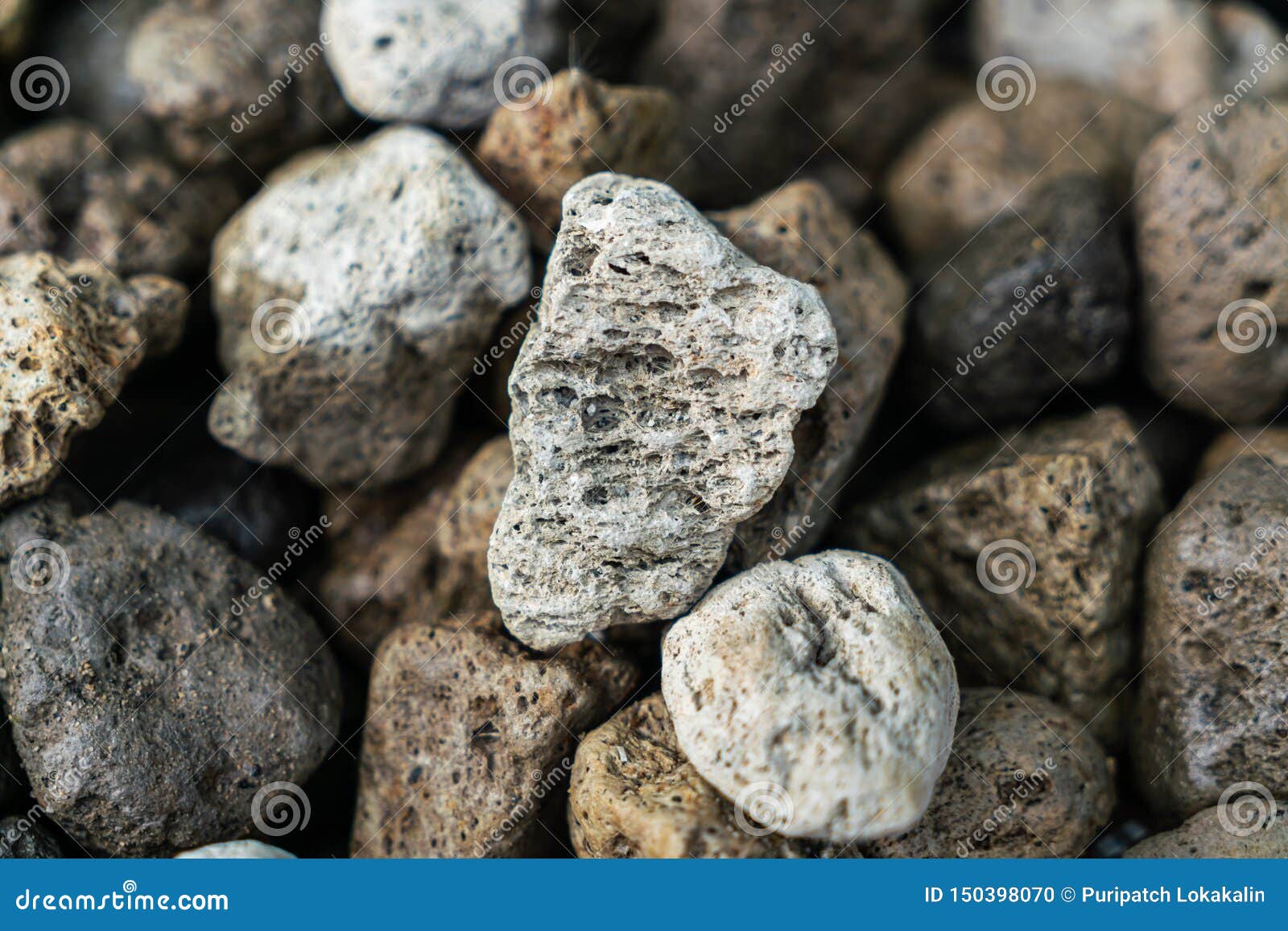 The Surface of Pumice Stone Stock Photo - Image of backdrop, background ...