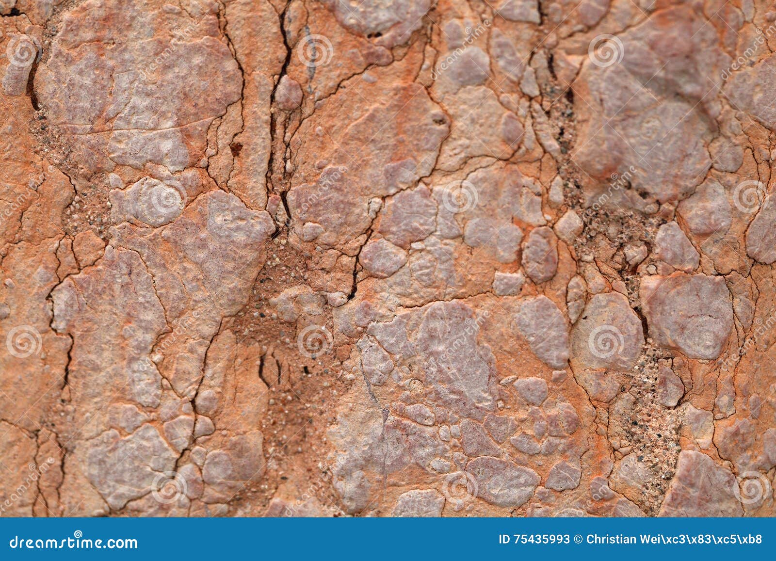 The Surface of Red Nodular Limestone Stock Image - Image of ...