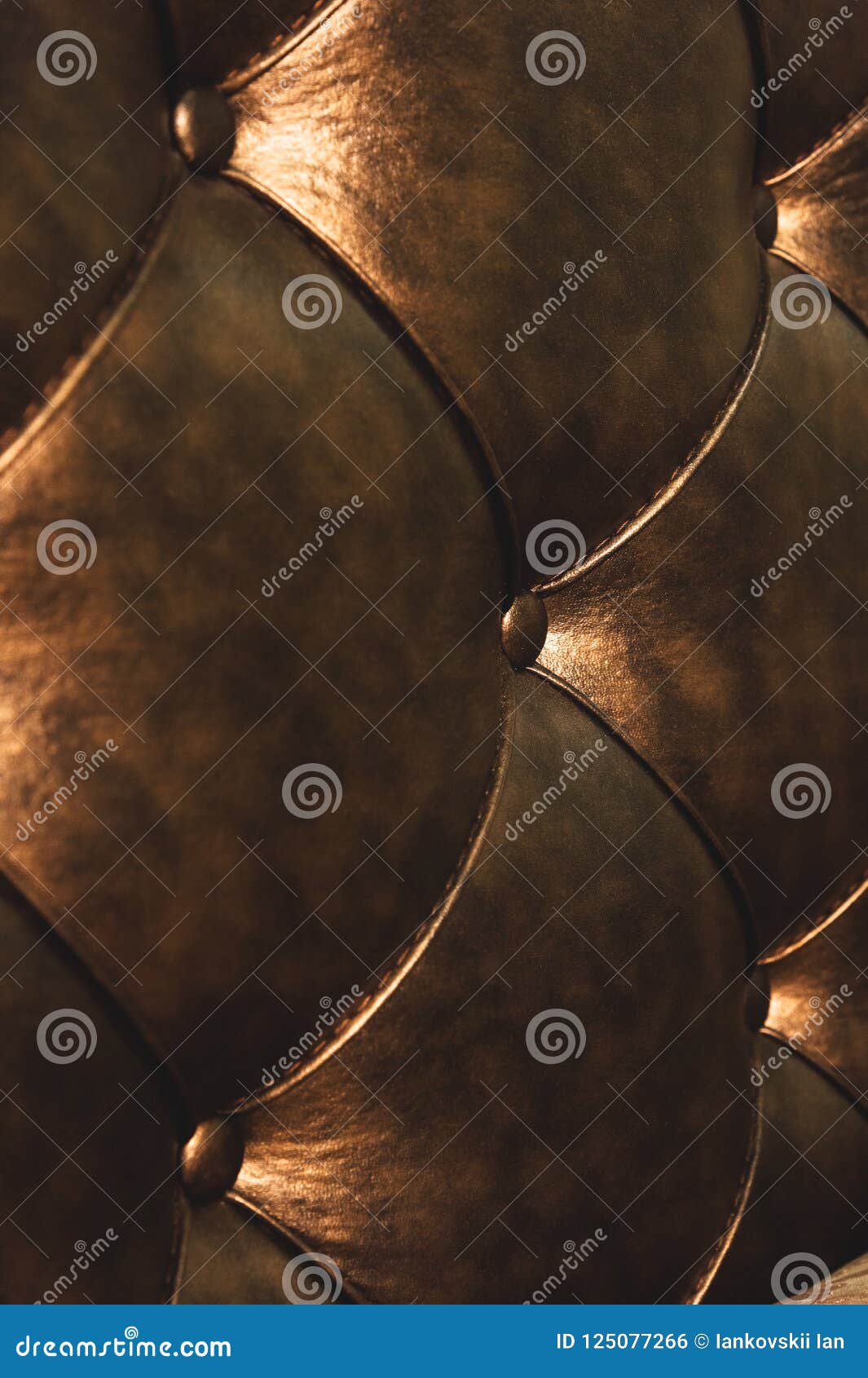 Surface of a Rhombic Split Skin with Buttons on the Back of the Bed ...