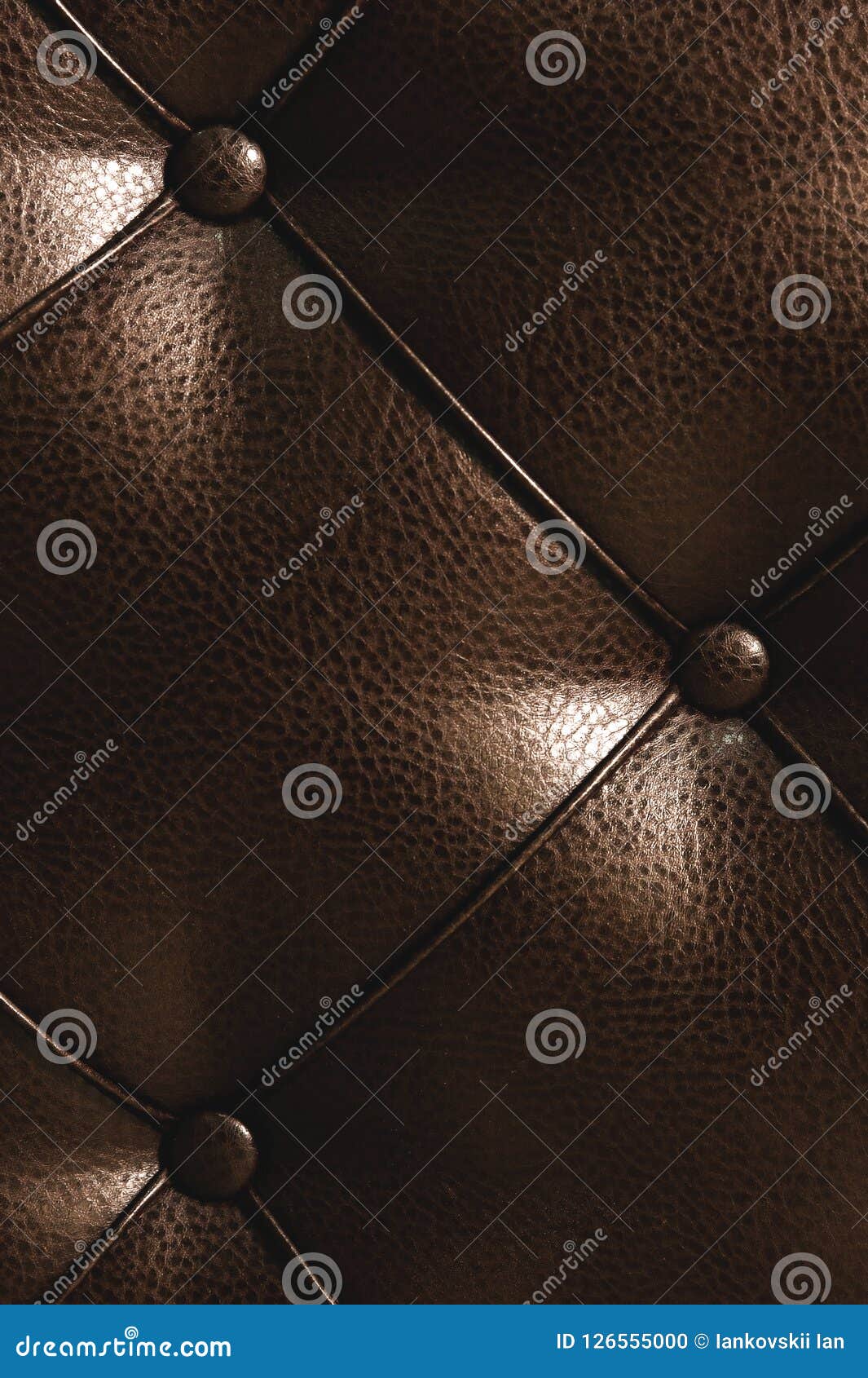 Surface of a Rhombic Split Skin with Buttons on the Back of the Bed ...
