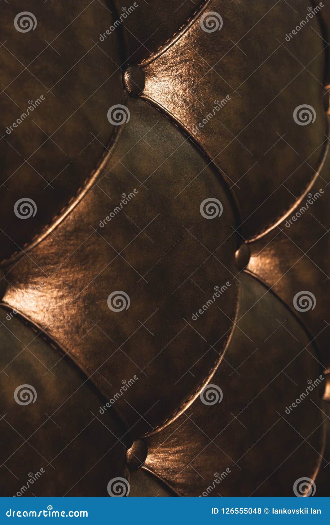 Surface of a Rhombic Split Skin with Buttons on the Back of the Bed ...