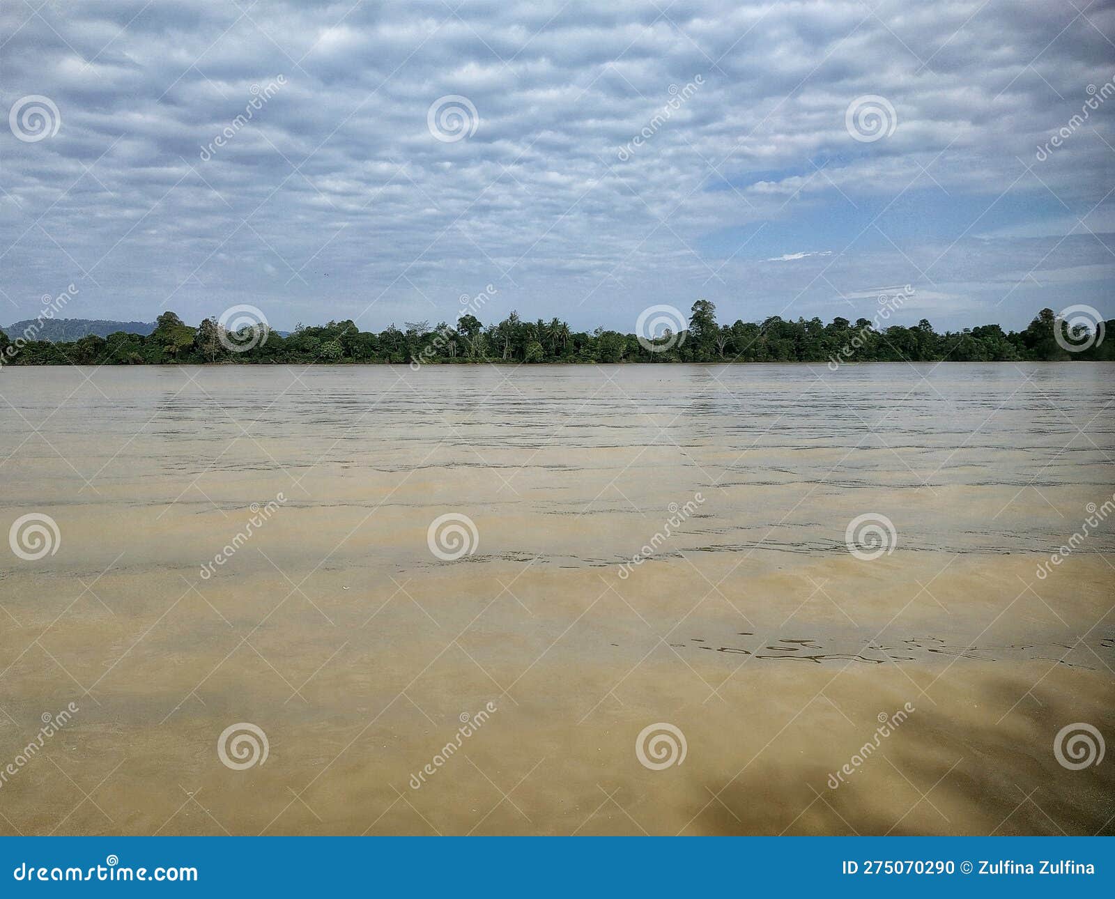 The Surface of the River Water is Cloudy and Indicates that the River ...
