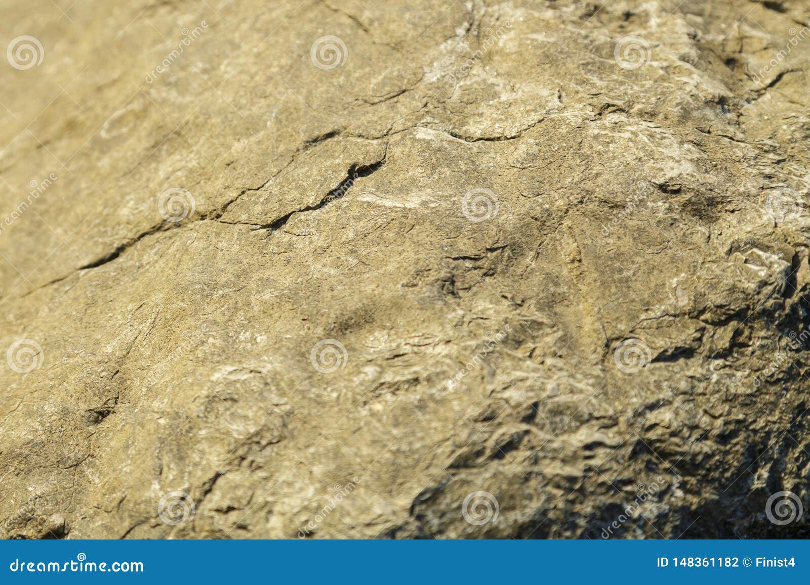 Surface Rocheuse Dans Le Plan Rapproch? De Fissures Texture Photo stock ...
