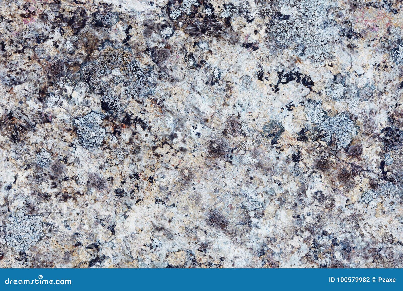 The Surface Rock with Lichen from Northern Mountains Stock Photo ...