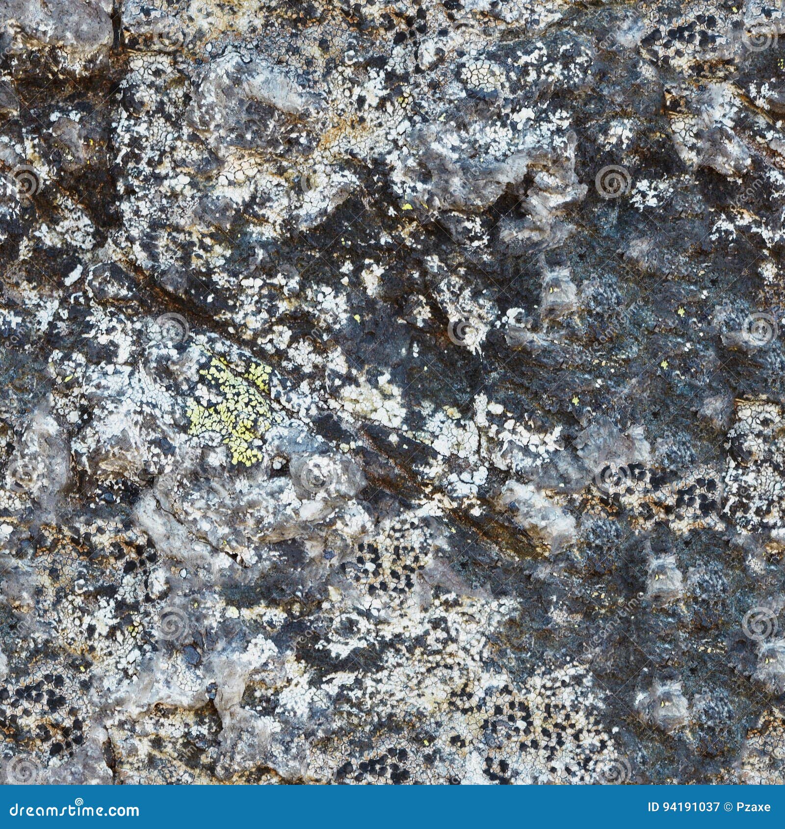 Surface Rock with Lichen Seamless Pattern from Northern Mountain Stock ...