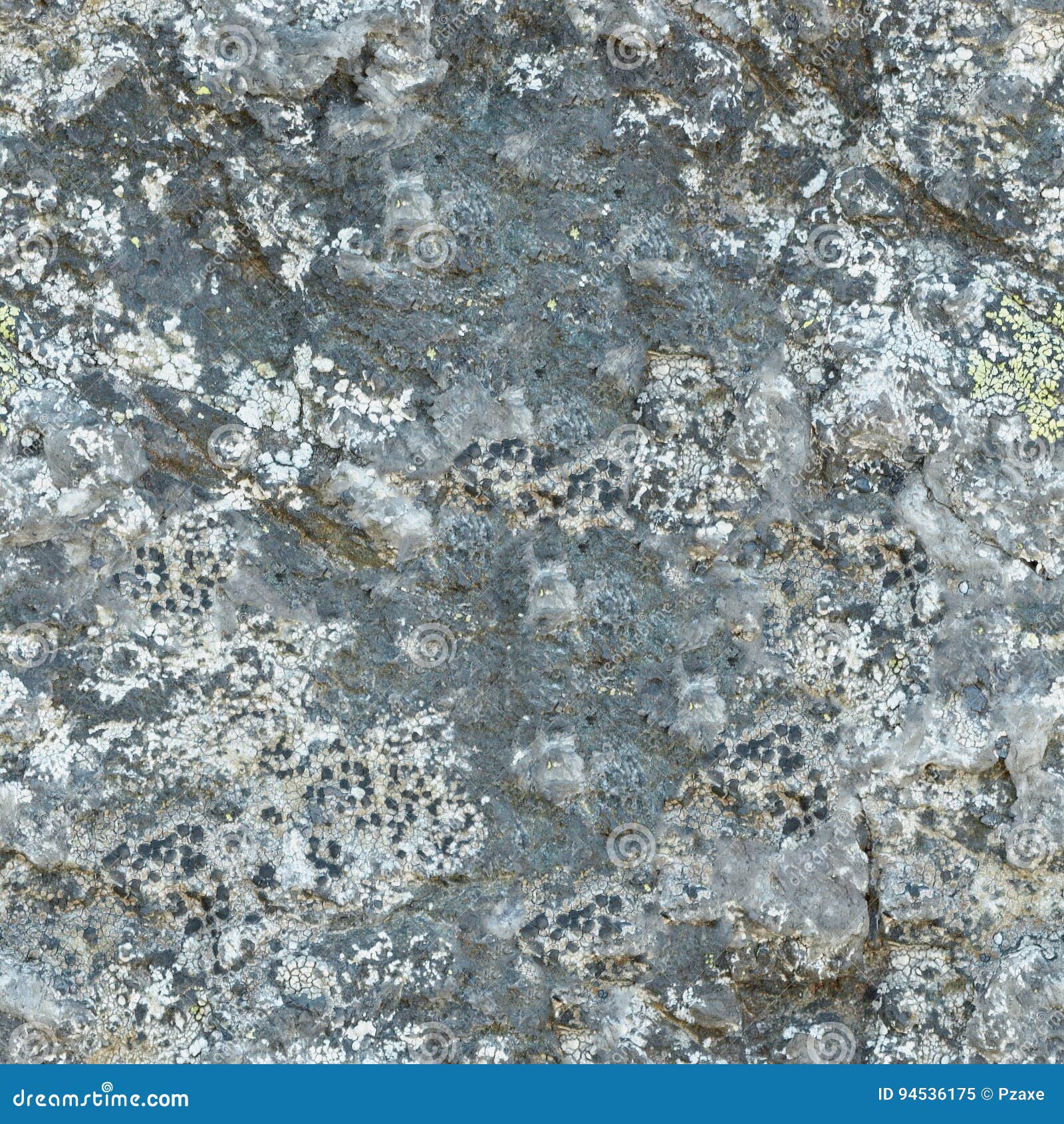Surface Rock with Lichen Seamless Pattern from Northern Mountain Stock ...