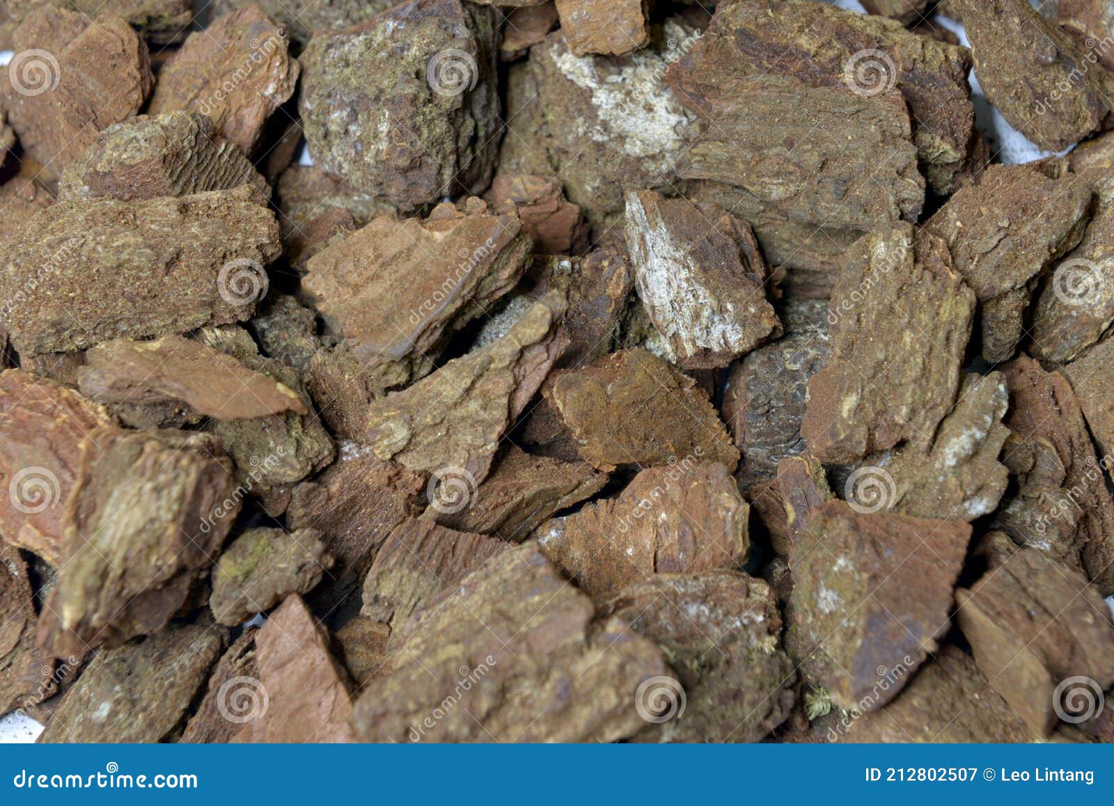 Surface rock stock image. Image of scene, background - 212802507