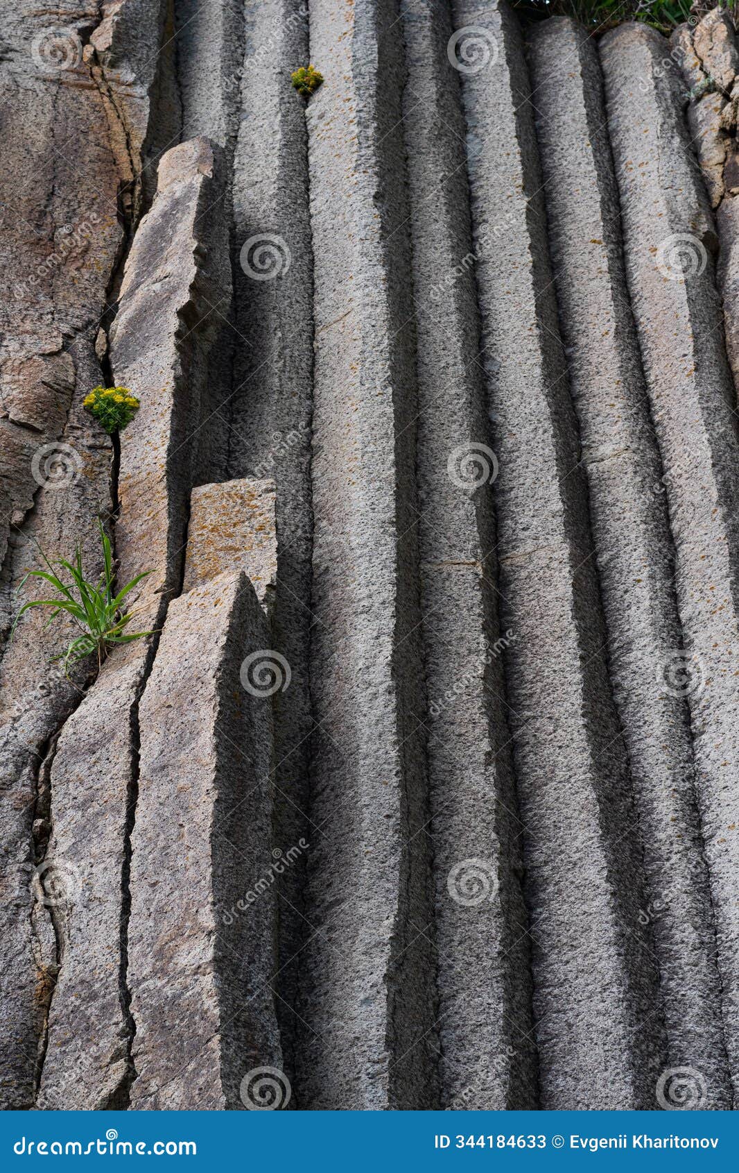 Surface of a Rock Wall Formed by Columnar Basalt Stock Image - Image of ...