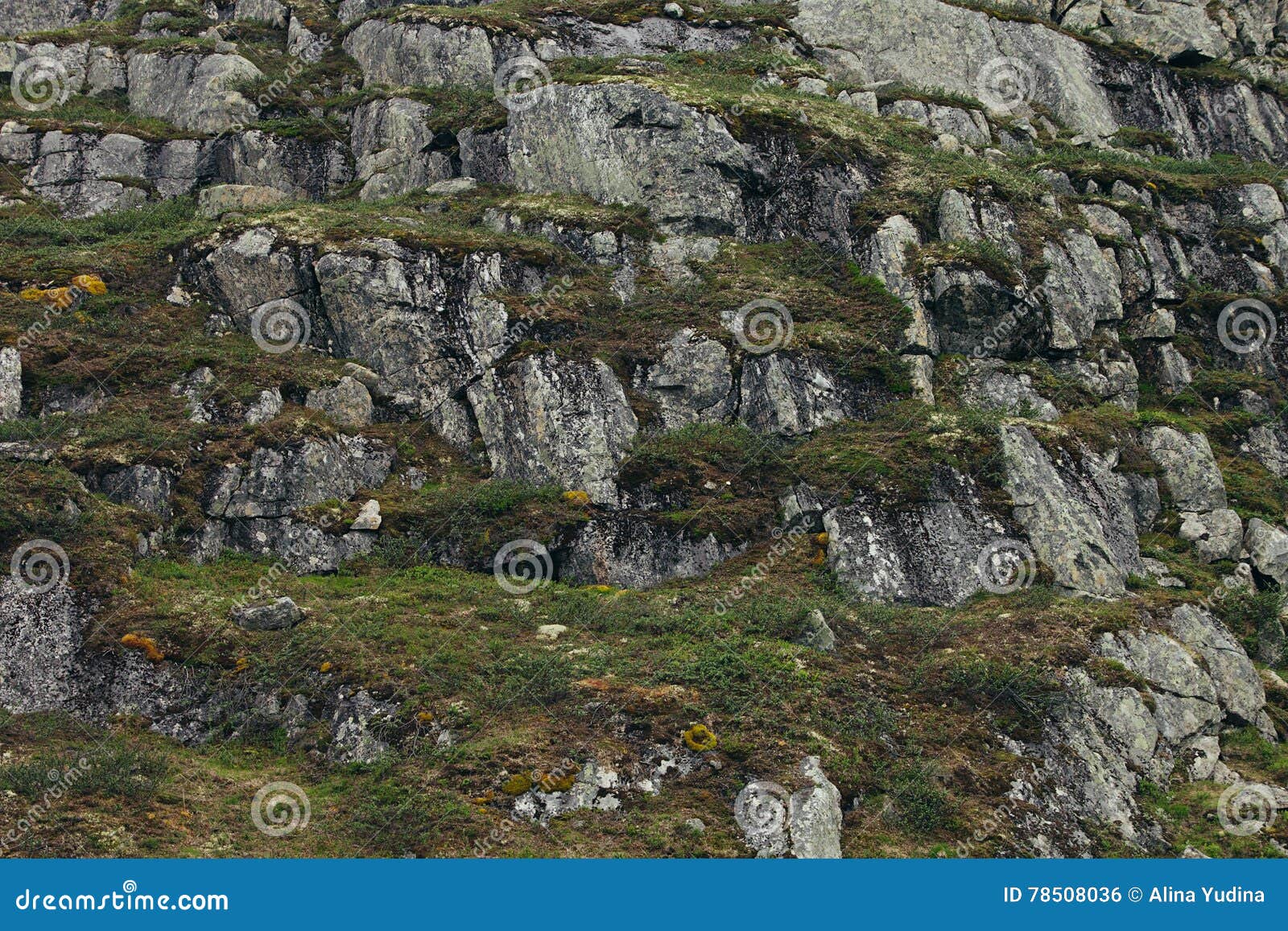 Surface of a Rocks with Green Moss and Lichen. Stock Photo - Image of ...