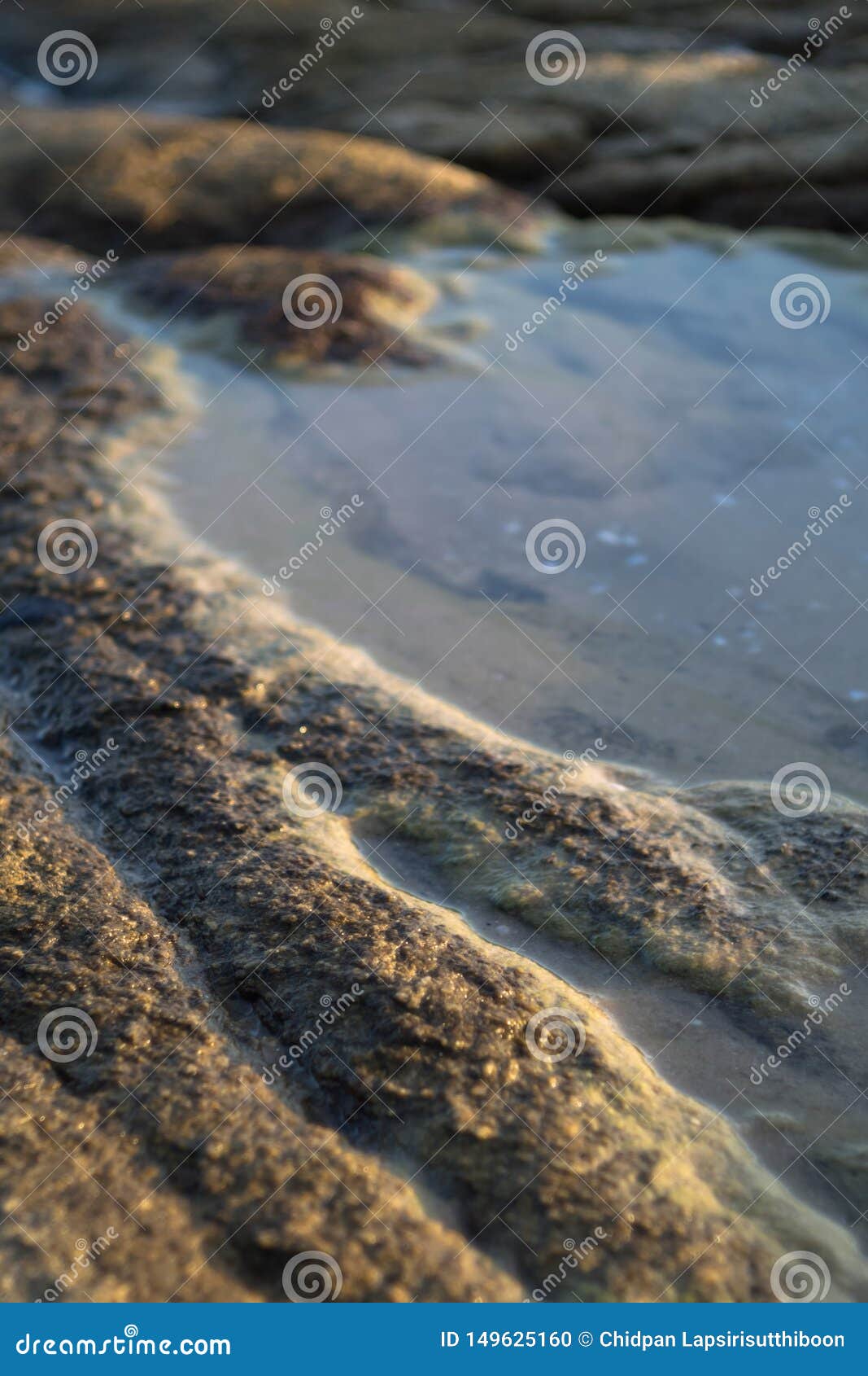 The Surface of the Rocks with Seawater Trapped Stock Photo - Image of ...