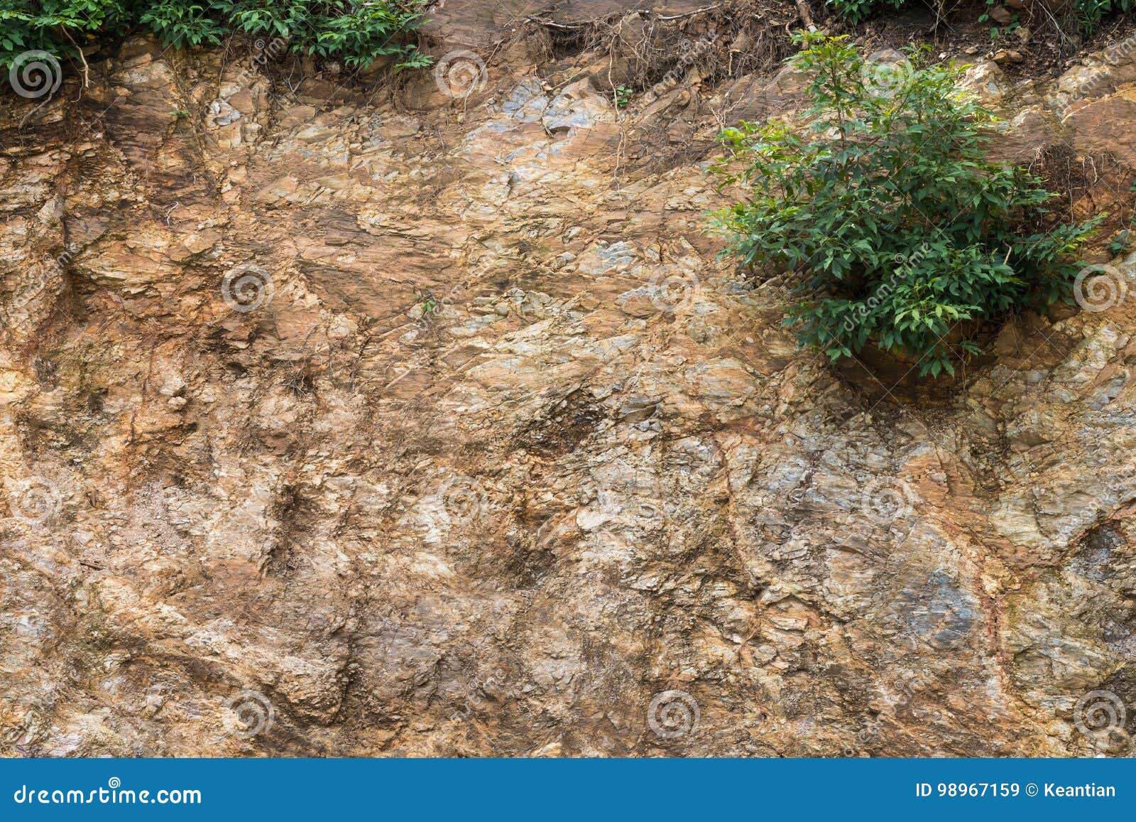 Surface Rocky Cliffs with Weeds. Stock Image - Image of background ...