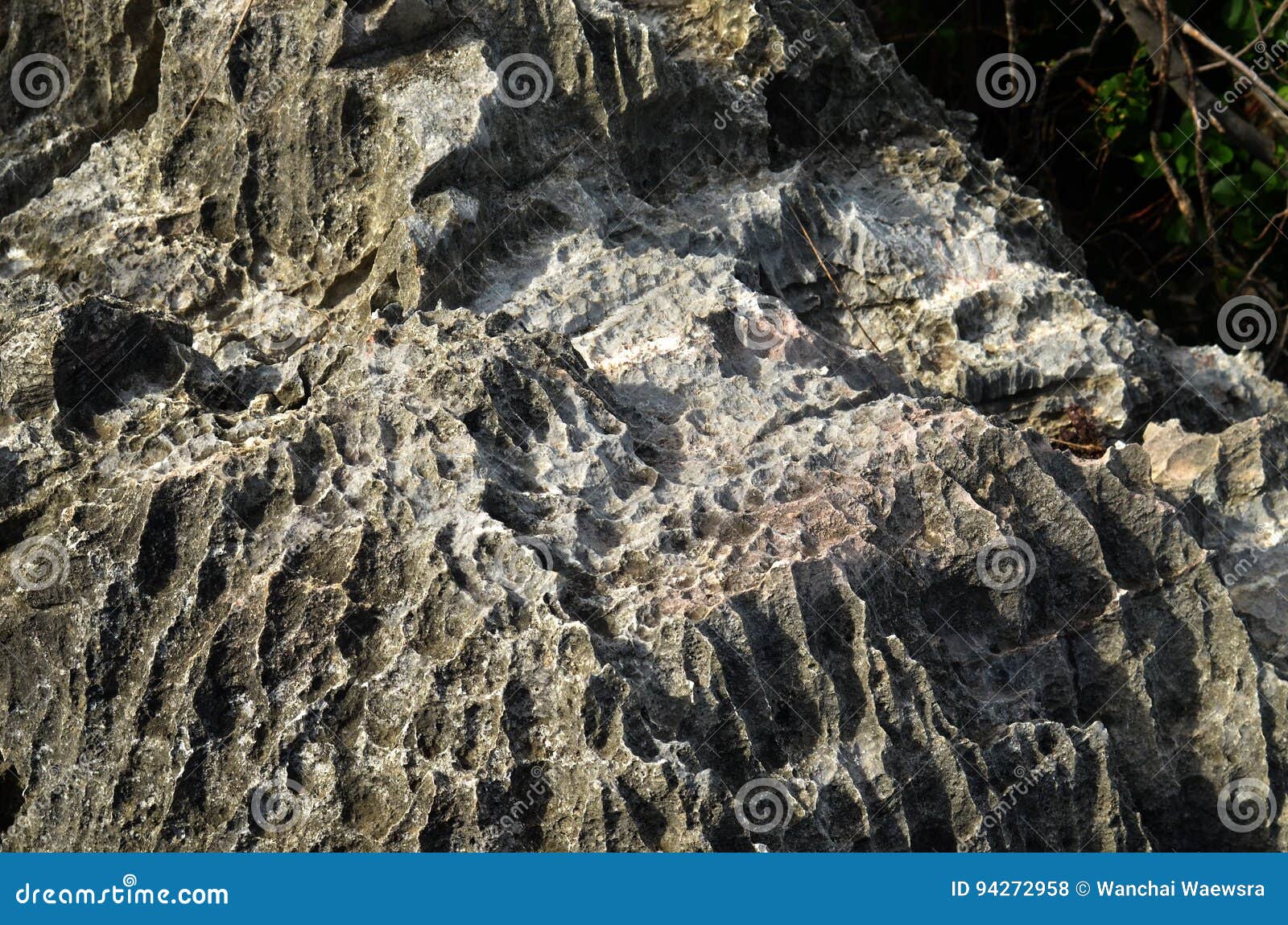 Surface Rocky Limestone, Gray Limestone and Background in Thailand ...
