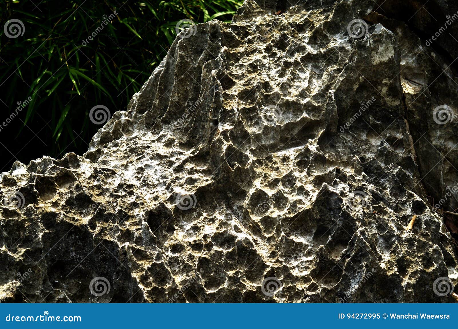 Surface Rocky Limestone, Gray Limestone and Background in Thailand ...