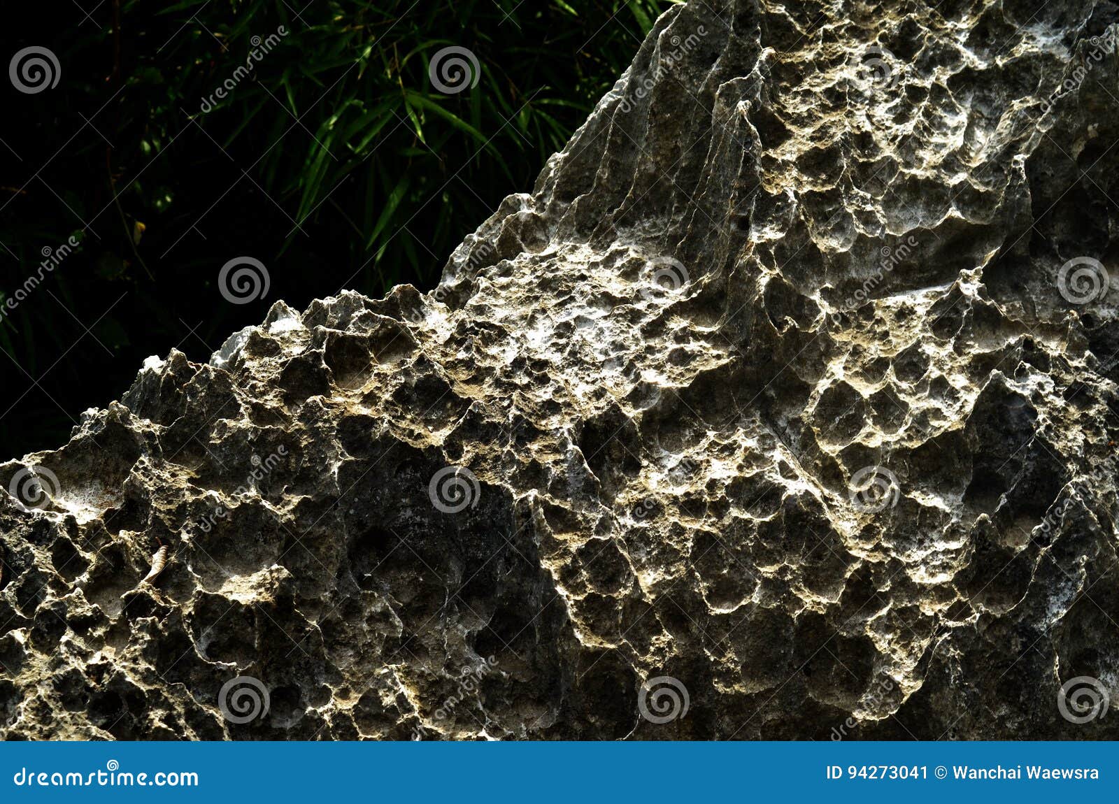Surface Rocky Limestone, Gray Limestone and Background in Thailand ...