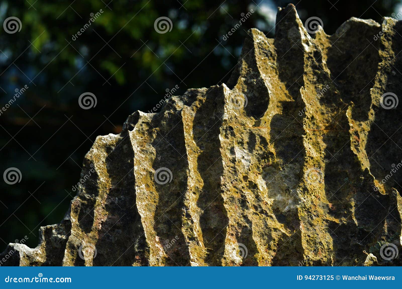 Surface Rocky Limestone, Gray Limestone and Background in Thailand ...