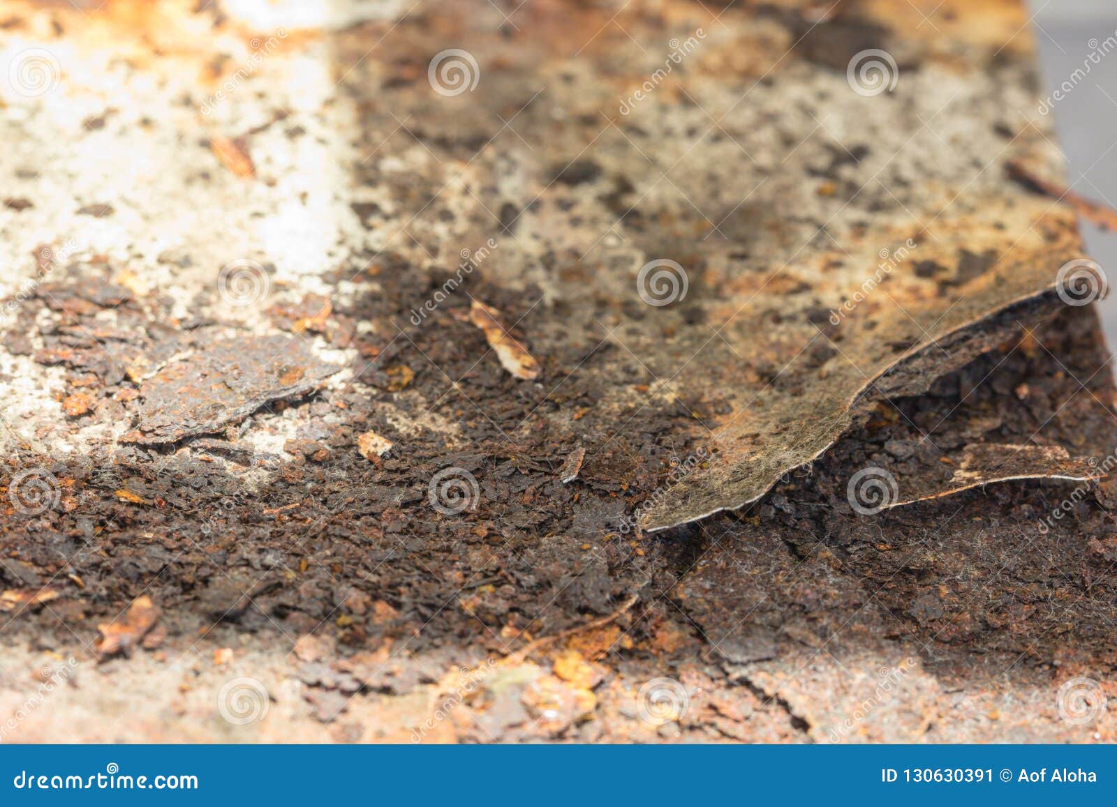 Surface Rust on the White Steel Surface. Stock Image - Image of detail ...