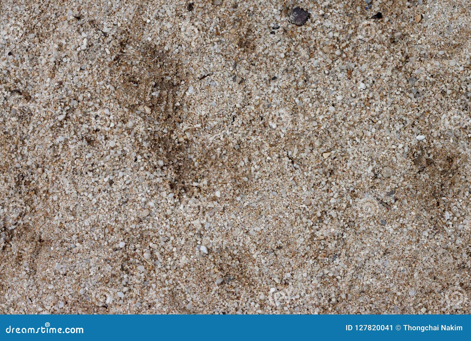 Surface sand in garden. stock image. Image of detail - 127820041