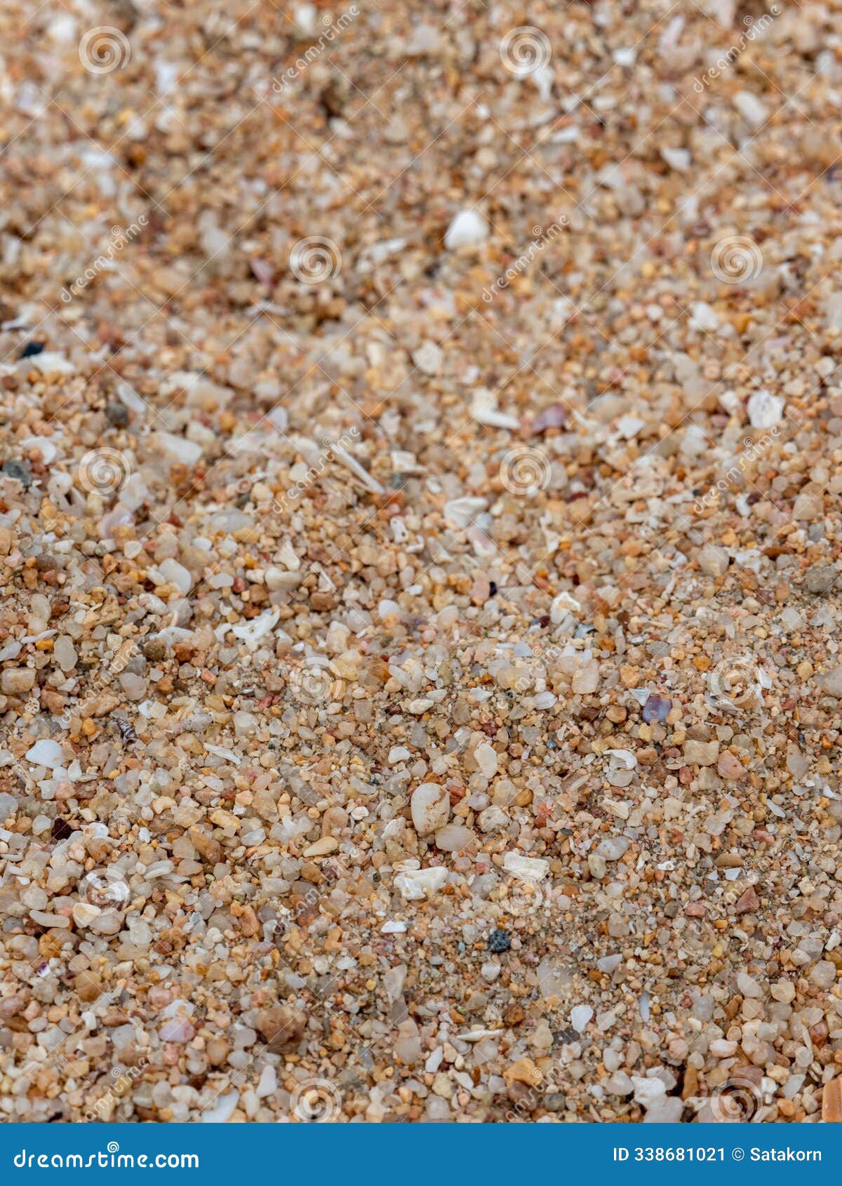 Surface of Sand Gravel and Small Fragments of Broken Shells on Beach ...