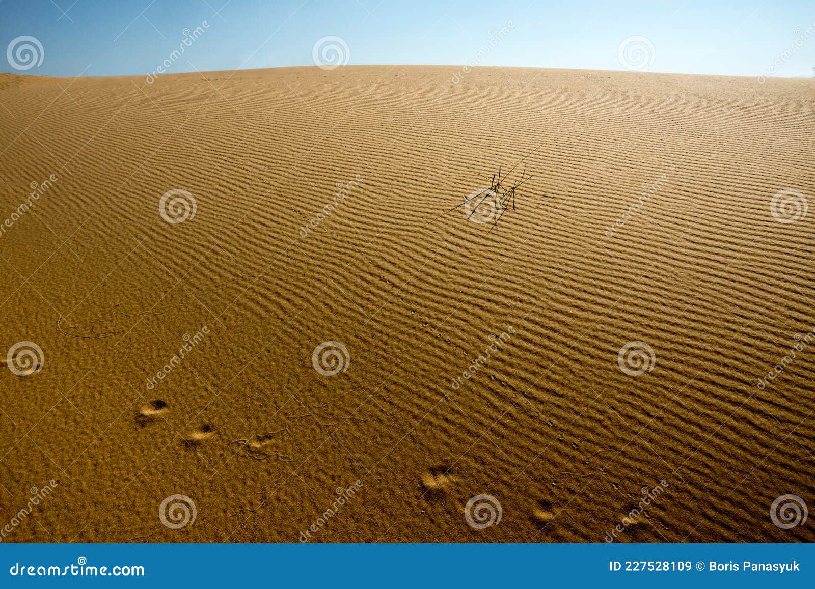 Surface of Sandy Desert in Sliding Light Stock Image - Image of sand ...