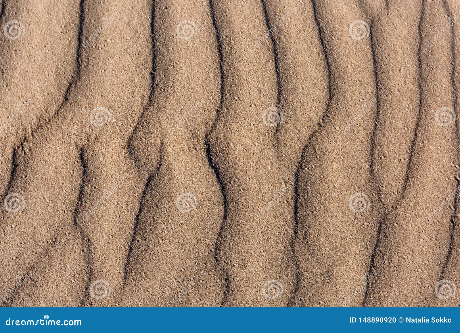Surface of Sea Sand on the Beach Stock Photo - Image of abstract ...