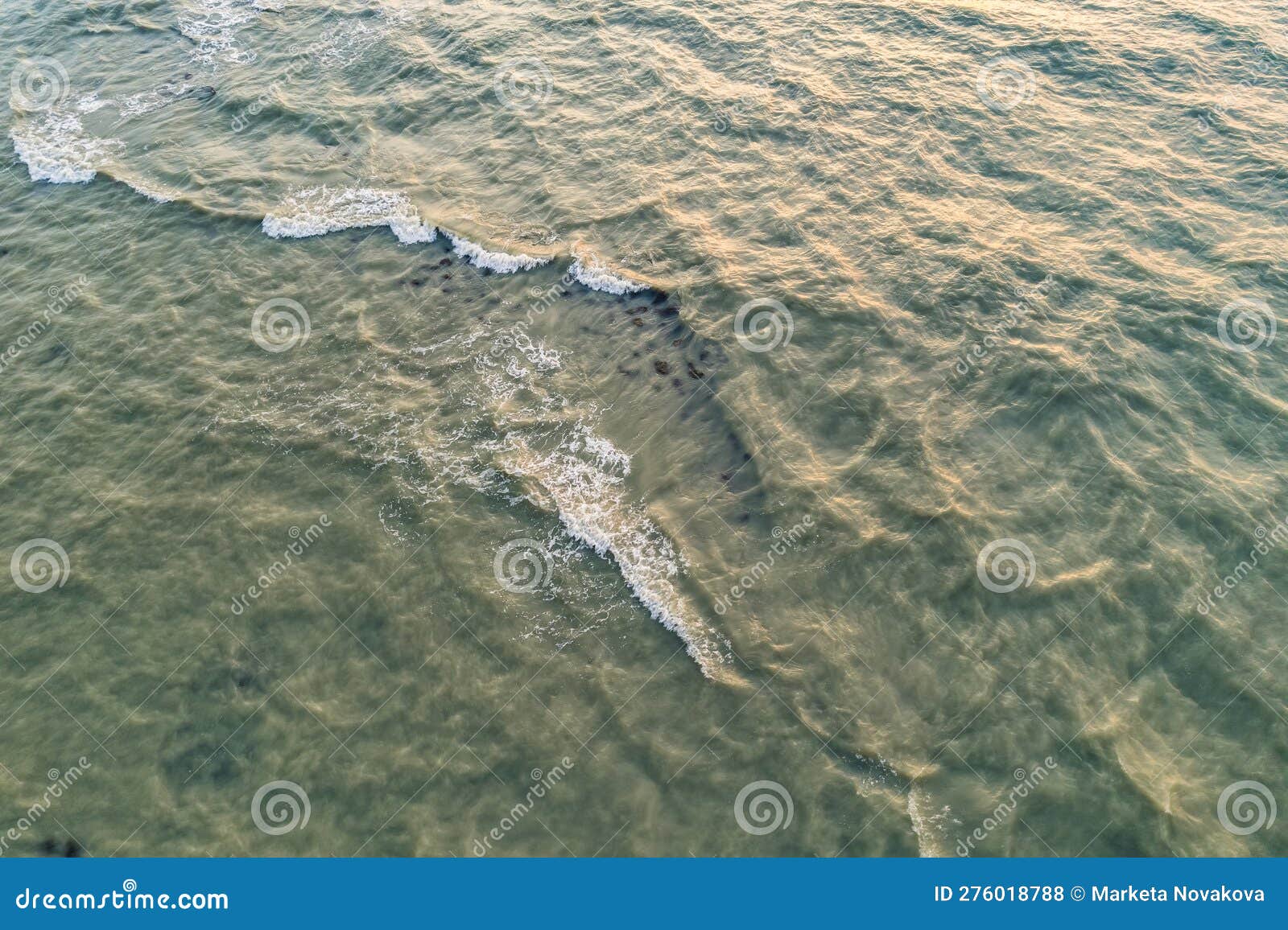 The Surface of the Sea in Shallow Water with Waves and Muddy Water ...