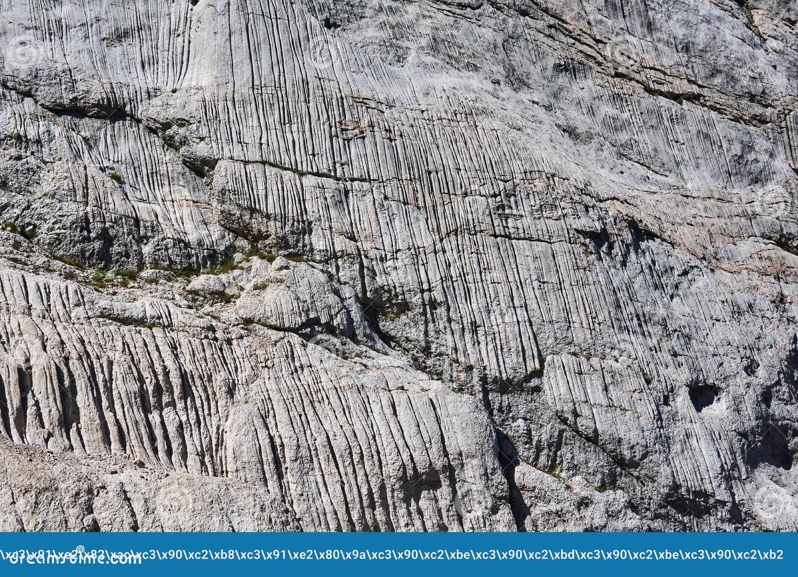 Surface of a Sheer Cliff, Lined with Vertical Grooves - Traces of a Now ...