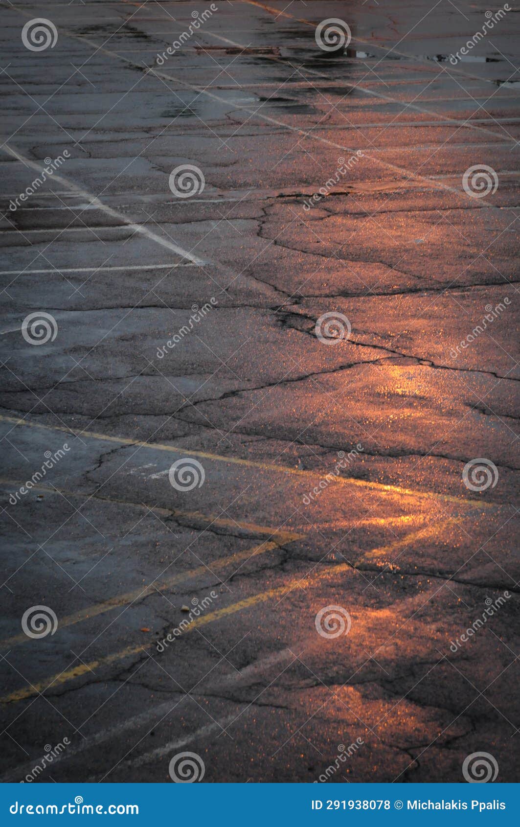 Surface Shiny Background after Rain. Street Light Shining in Water ...