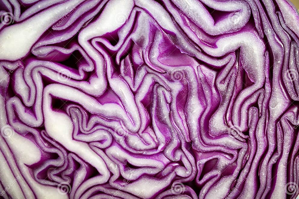 Patterns in Slice of Red Cabbage, (Brassica Oleracea) Abstract ...