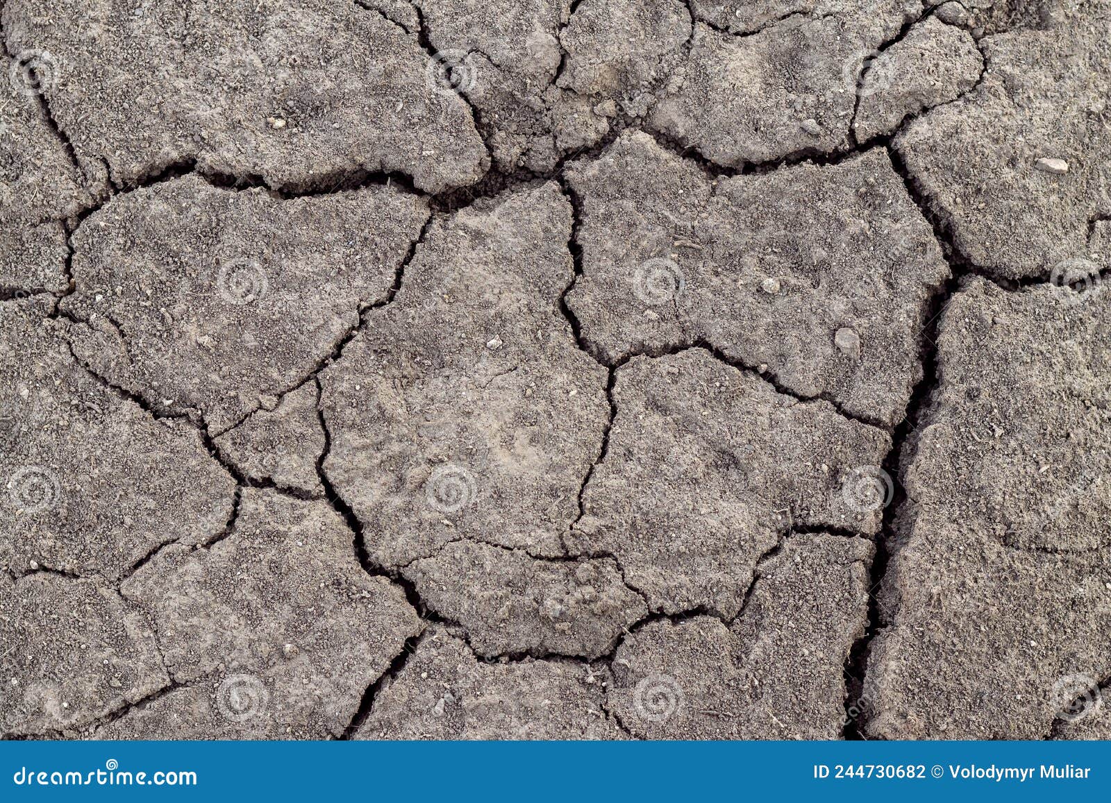 The Surface of the Soil is Covered with Cracks during Drought Stock ...