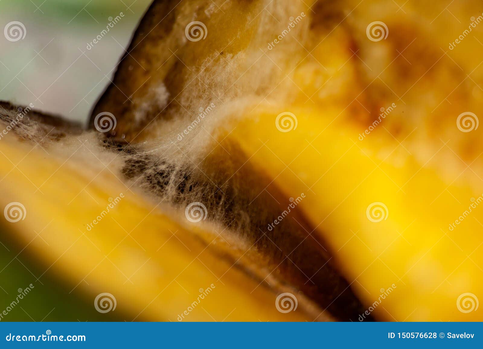 The Surface of the Spoiled Mango, Soft Focus Stock Photo - Image of ...