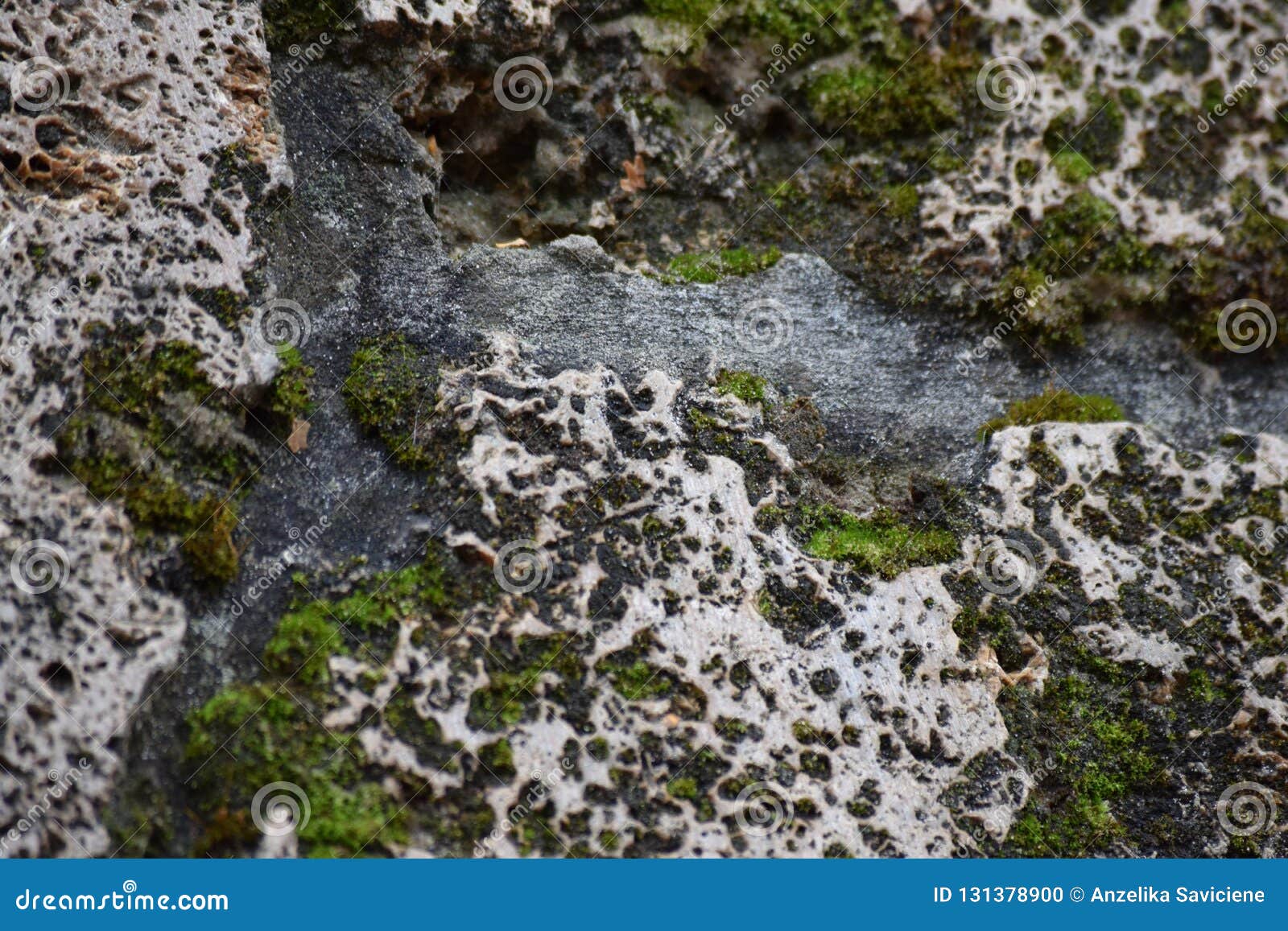 The Surface of the Stone Overgrown with Green Moss Stock Photo - Image ...