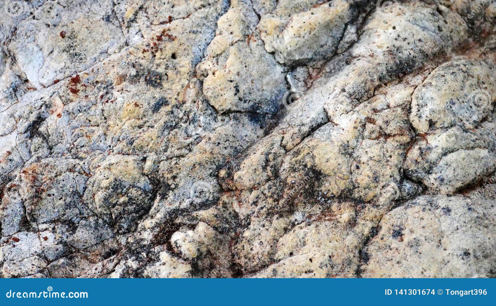 Stone skin stock photo. Image of cracks, color, beauty - 141301674