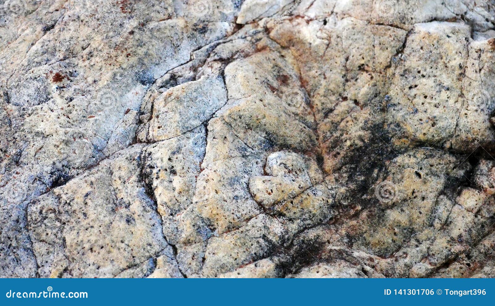 Stone skin stock photo. Image of busted, construction - 141301706