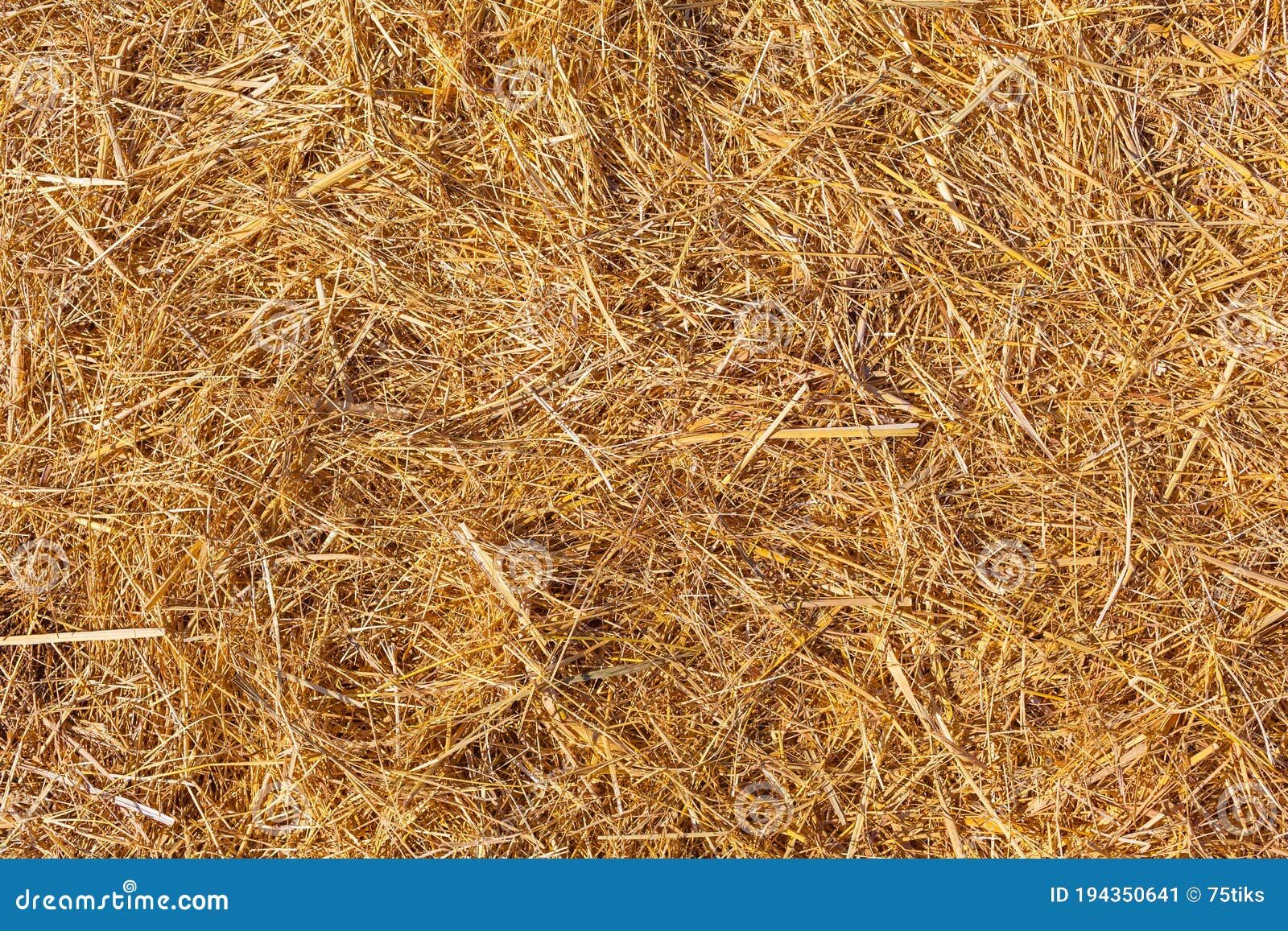 Surface Of Straw Texture Royalty-Free Stock Photo | CartoonDealer.com ...