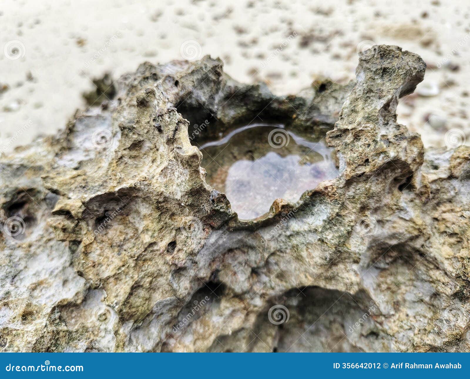 Structure of Limestone and Eroded Coral Reefs with Cavities and Holes ...