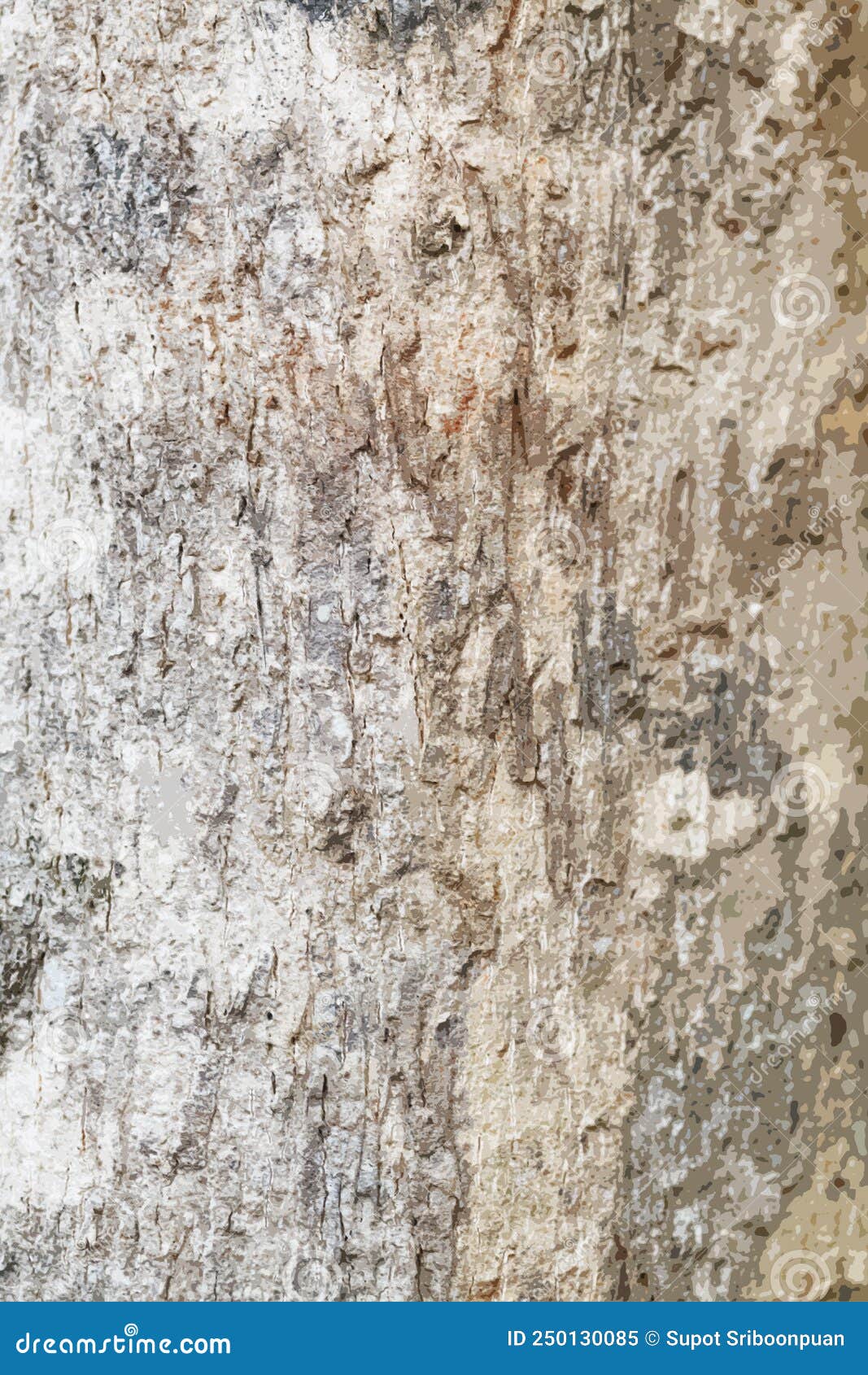 Surface with tark tree stock image. Image of surface - 250130085