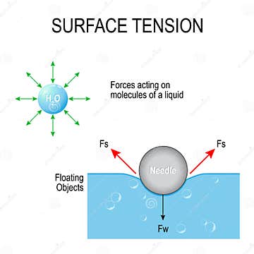 Surface tension stock vector. Illustration of research - 97554678