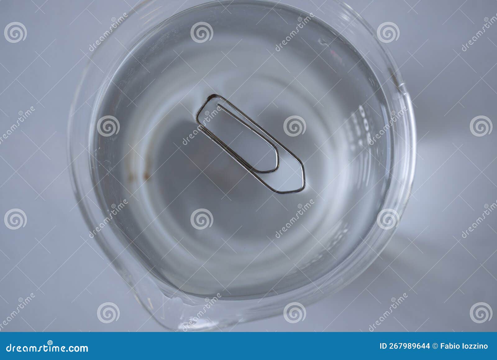 Surface Tension of Water. Paper Clip Floats on Water in the Laboratory ...
