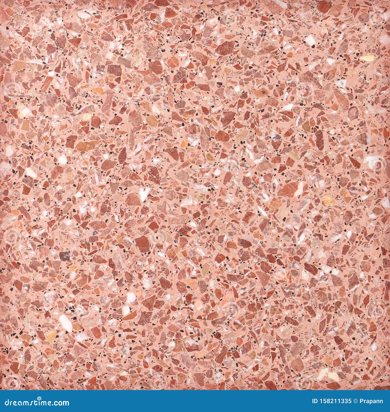 Surface of Terrazzo Floor Texture for Background Stock Image - Image of ...