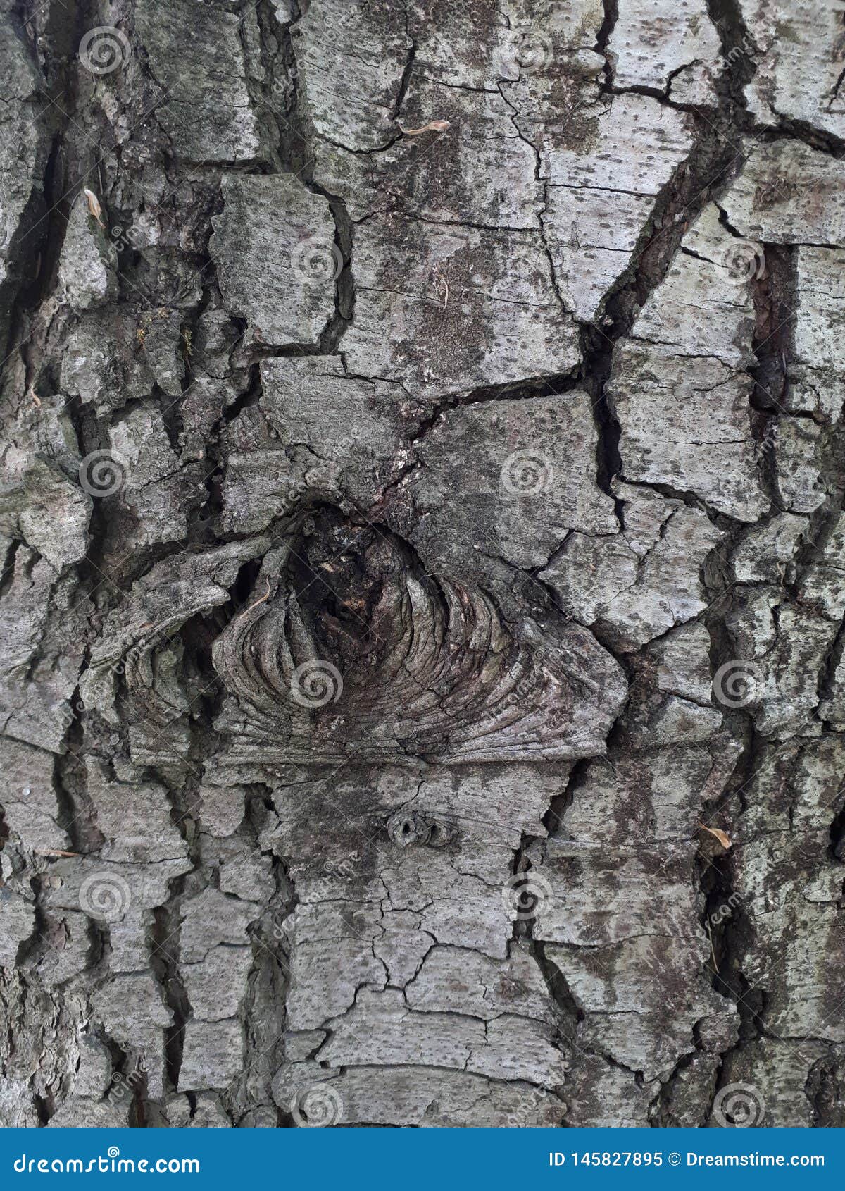 Surface Texture and Background for a Site or Screensaver. Stock Image ...