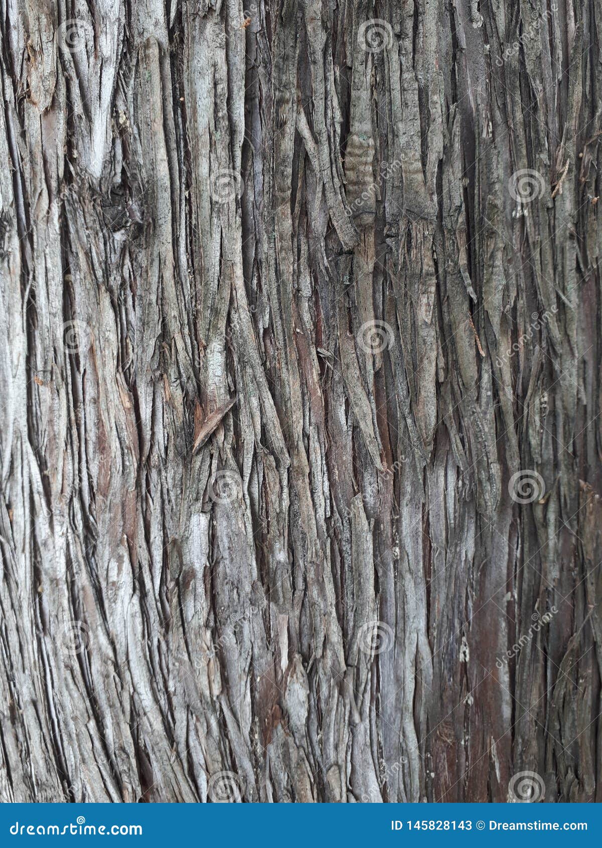 Surface Texture and Background for a Site or Screensaver. Stock Image ...