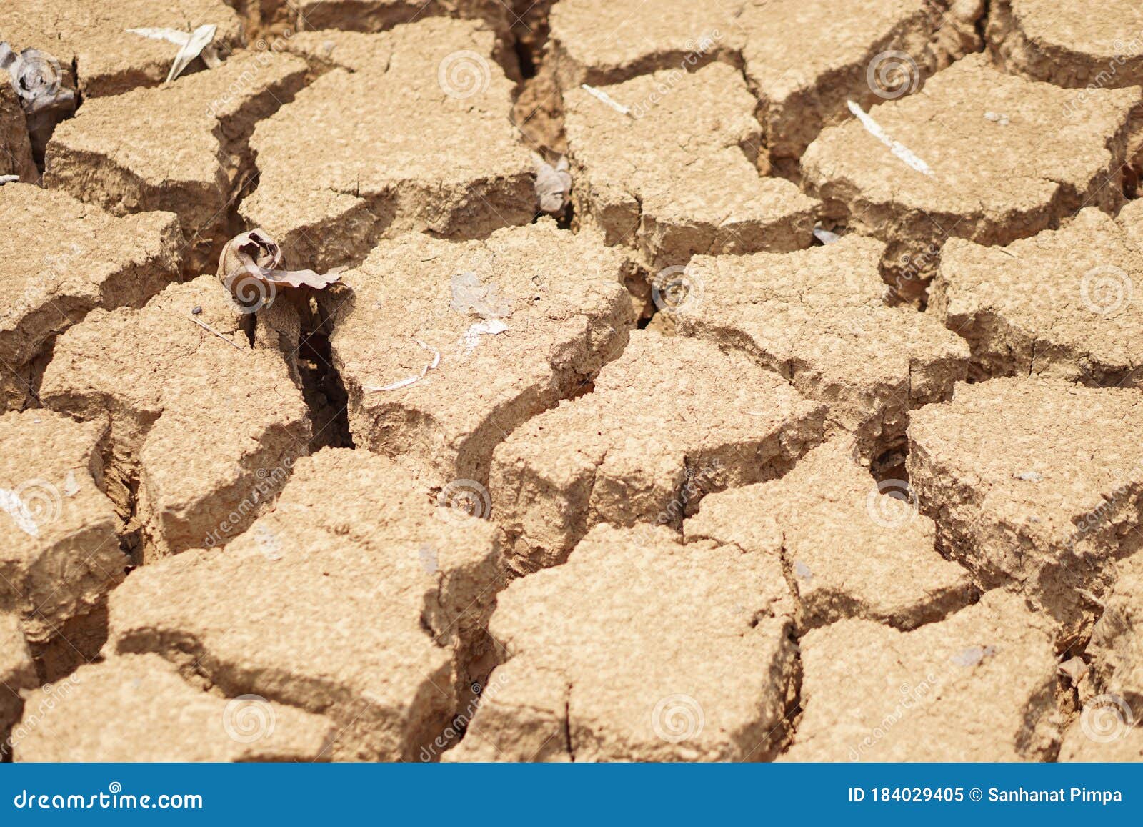Surface and Texture of Cracks on the Ground Caused by Drought Stock ...